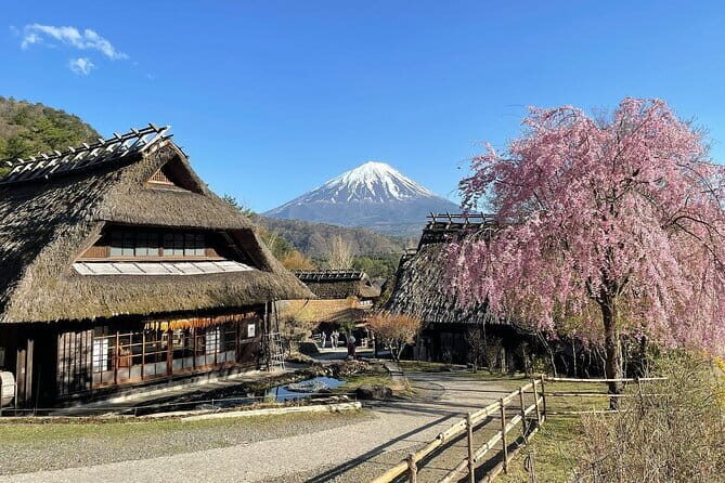 Tokyo: Mount Fuji Must-see Attractions One Day Sightseeing Tour - Final Thoughts: Who Is This Tour For?