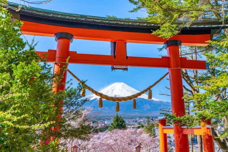 Tokyo: Mt Fuji 6 Scenic Spots - Lake Yamanaka, Oshino Hakkai - Is It Worth the Price?