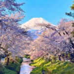 Tokyo: Mt.Fuji Area, Oshino Hakkai & Kawaguchi Lake Day Trip - Concluding Thoughts