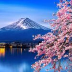 Tokyo: Mt. Fuji & Hakone Cherry Blossoms Private Day Tour - What Travelers Say