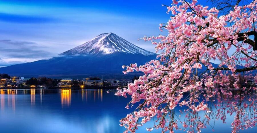 Tokyo: Mt. Fuji & Hakone Cherry Blossoms Private Day Tour - What Travelers Say