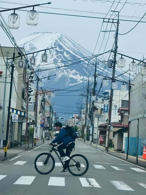 Tokyo: Mt. Fuji & Hakone Private Custom Tour English Driver - Practical Considerations and What You’ll Get