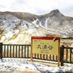 Tokyo Mt. Fuji Hakone Shrine, Owakudani, Lake Yamanakai Day Tour - Who Should Book This Tour?