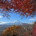 Tokyo: Mt. Fuji Highlights Tour with Lake Kawaguchi Cruise - Seasonal Considerations