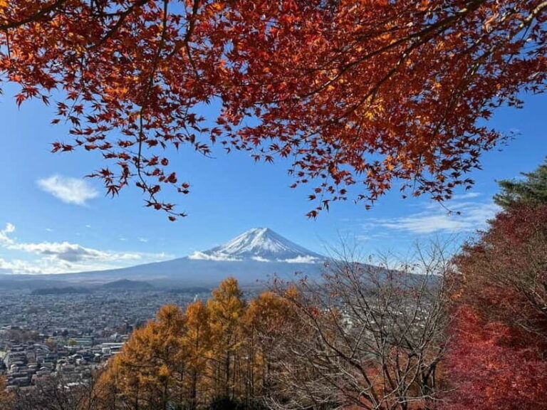 Tokyo: Mt. Fuji Highlights Tour with Lake Kawaguchi Cruise - Seasonal Considerations
