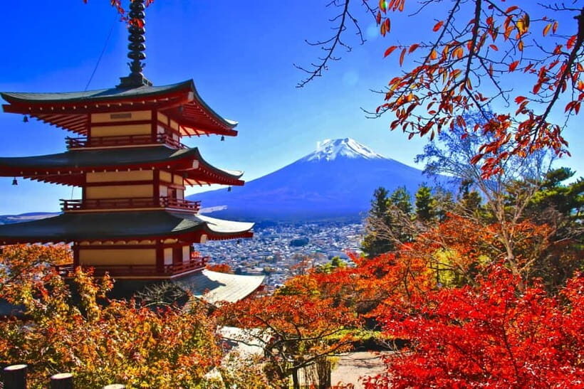Tokyo: Mt. Fuji & Lake Kawaguchi 3-Row Luxury Bus 1-Day Tour - Is This Tour Worth the Price?