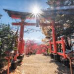 Tokyo: Mt.Fuji Private day Trip with English Speaking Driver - What to Expect From This Mount Fuji Day Trip