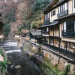 Tokyo: Nagano, Snow Monkeys and Zenko-ji Temple Private Tour - Transportation and Logistics