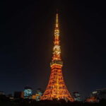 Tokyo : Night E-Bike Tour with Tokyo Tower and Dolphin Show - Authentic Experiences and Highlights