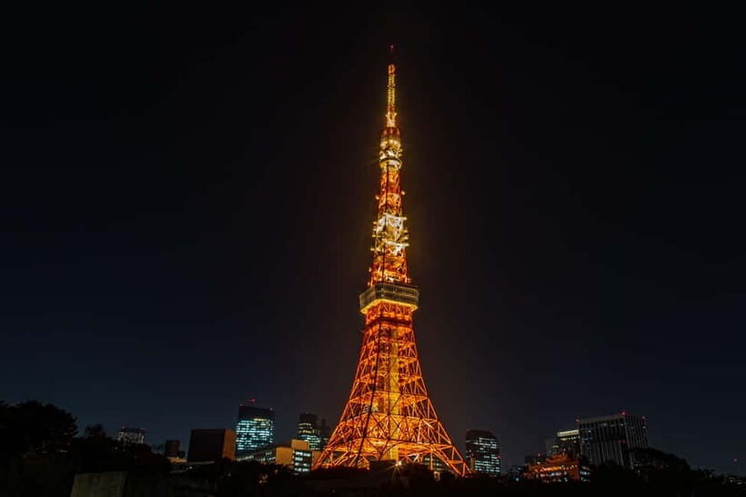 Tokyo : Night E-Bike Tour with Tokyo Tower and Dolphin Show - Authentic Experiences and Highlights