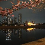 Tokyo Night Tour Akihabara, Shibuya, Karaoke and City Lights - Akihabara: The Heart of Japanese Otaku Culture