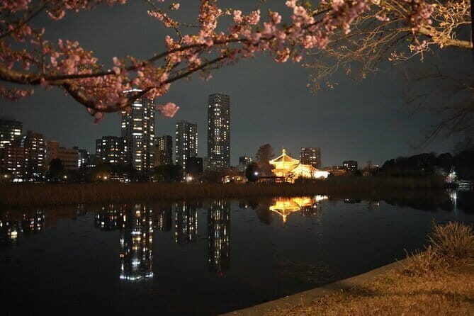 Tokyo Night Tour Akihabara, Shibuya, Karaoke and City Lights - Akihabara: The Heart of Japanese Otaku Culture