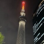 Tokyo Night Tour with English Speaking Guide - How the Tour Comes Together