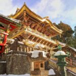 Tokyo: Nikko Day Tour with English Driver and Flexible - Practical Details & Value