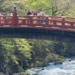 Tokyo: Nikko Private Tailored Day Tour with Premium Vellfire - Why Choose This Tour?