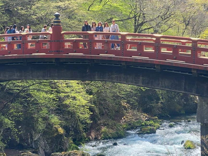 Tokyo: Nikko Private Tailored Day Tour with Premium Vellfire - Why Choose This Tour?