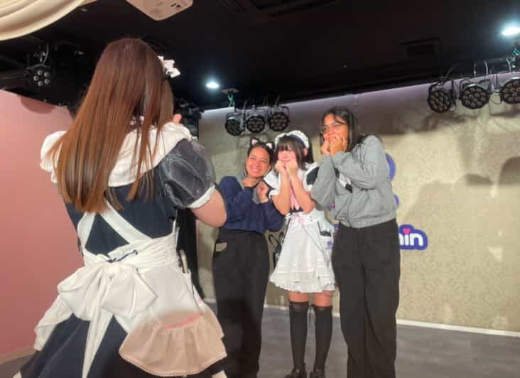 Tokyo: Nostalgic Anime & Retro Gaming Adventure in Akihabara - Experience the Heart of Akihabara: What to Expect