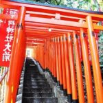 Tokyo Off the Beaten Path 6hr Private Tour with Licensed Guide - Transportation and Schedule