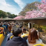 Tokyo: Open Top Sightseeing Bus with Audio Guide - An In-Depth Look at the Tokyo Open Top Bus Tour