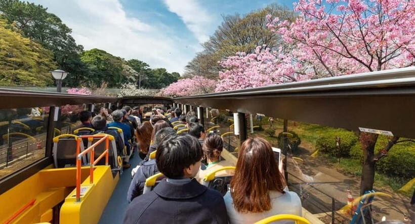 Tokyo: Open Top Sightseeing Bus with Audio Guide - An In-Depth Look at the Tokyo Open Top Bus Tour