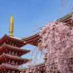 Tokyo Personalized Full-day Tour Led by a Local Expert - What You’ll See and Do