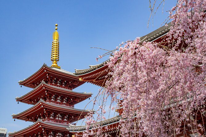 Tokyo Personalized Full-day Tour Led by a Local Expert - What You’ll See and Do