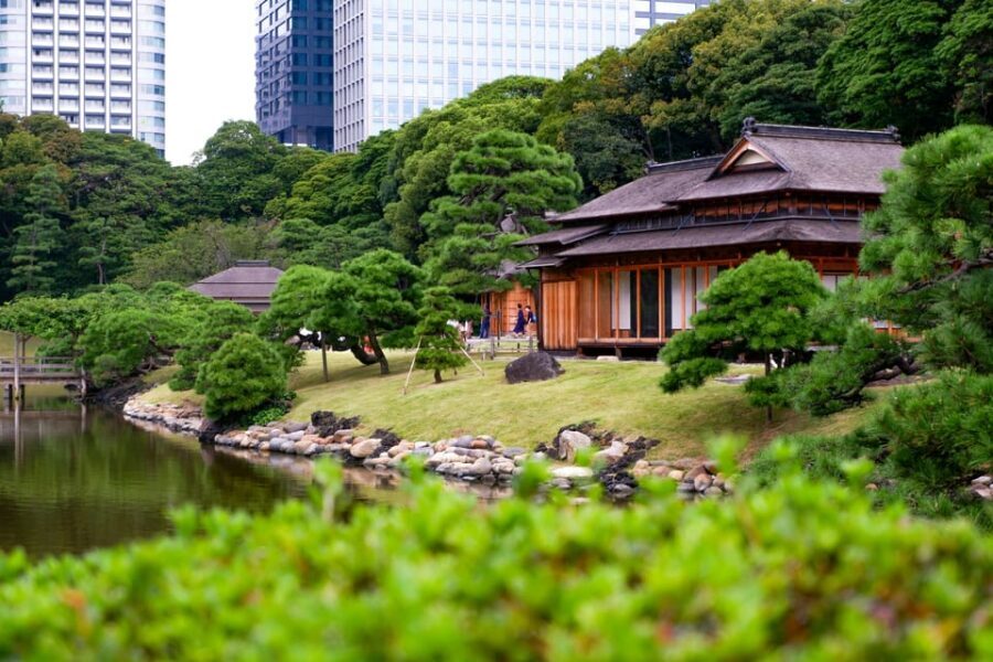 Tokyo: Personalized Private 6-Hour Tour - The Sum Up