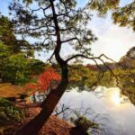 Tokyo Photogenic spots visiting tour - Final Thoughts: Who Should Consider This Tour?