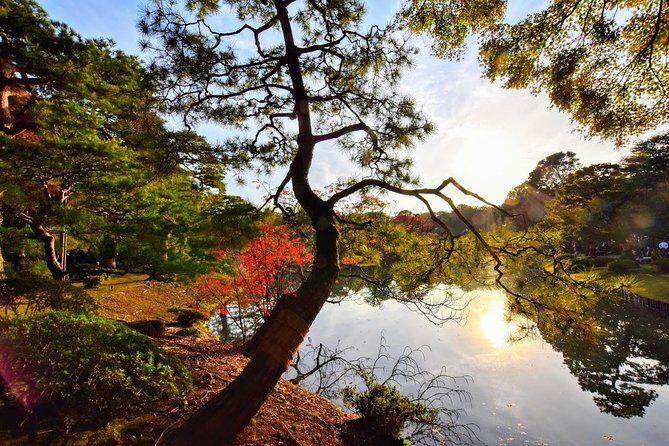 Tokyo Photogenic spots visiting tour - Final Thoughts: Who Should Consider This Tour?