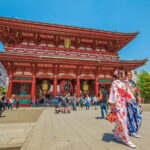 Tokyo Private Chauffeur Tour - Fully Guided - Who Will Love This Tour?