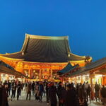 Tokyo Private City Tour - How well does the experience deliver on its promise?