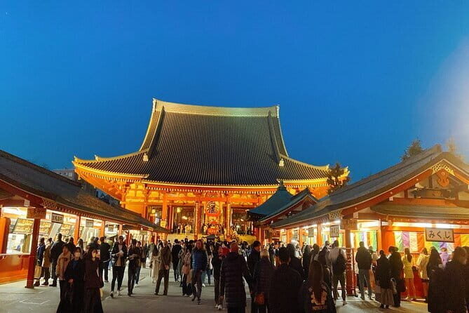 Tokyo Private City Tour - How well does the experience deliver on its promise?