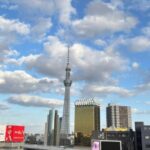 Tokyo: Private Customizable Tour with a Local Guide - What Travelers Say: Authentic Insights from Reviews