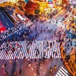 Tokyo Private Customizable Tour with a Local Guide - Detailed Breakdown of the Itinerary