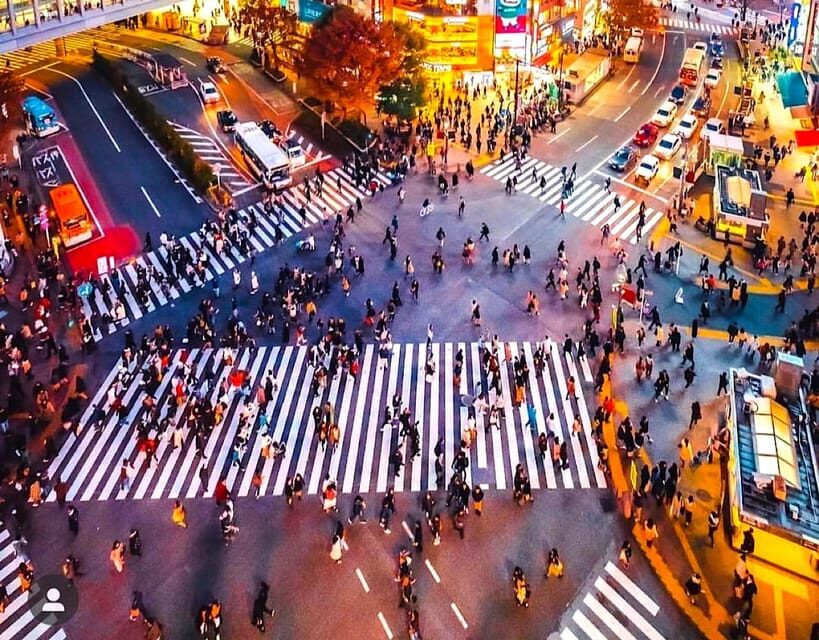 Tokyo Private Customizable Tour with a Local Guide - Detailed Breakdown of the Itinerary