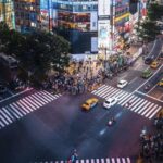 Tokyo: Private Customizable Tour with Transfer - The Itinerary: What You Can Expect