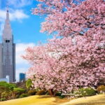 Tokyo Private Day Tour by Car with English speaking Driver - Making Sense of the Itinerary: What to Expect