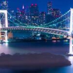 Tokyo Private Day Trip With English Speaking Driver - Authentic Experiences & Real Feedback from Travelers