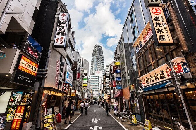 Tokyo Private Driving Tour by Car/Van with English Chauffeur - Why Choose a Private Driving Tour in Tokyo?