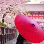 Tokyo Private Guided Tour with Hotel Pickup and Drop off - Why This Tour Stands Out