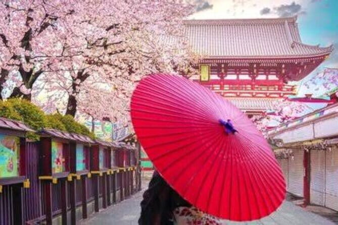 Tokyo Private Guided Tour with Hotel Pickup and Drop off - Why This Tour Stands Out