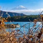 Tokyo: Private Mount Fuji Day Trip with Private Guide - The Balance of Value and Practicality