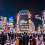 Tokyo Private Night Tour by Car/Van - English speaking chauffeur - Additional Details and Practical Considerations