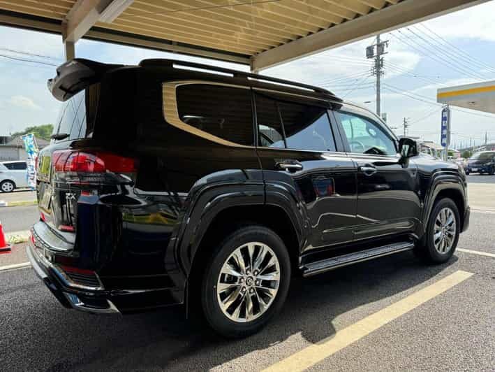 Tokyo: Private Nikko Sightseeing Tour In Luxury Land Cruiser - Who Should Consider This Tour?