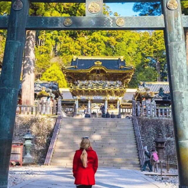 Tokyo: Private Nikko World Heritage Instagramable Day Tour - Authentic Experiences and What You’ll Love