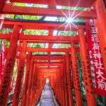 Tokyo: Private Shinto Shrines Tour by Car with Local Guide - An In-Depth Look at the Shinto Shrines Tour