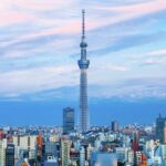 Tokyo Private Sightseeing Tour with English Speaking Driver - What’s Included and What’s Not