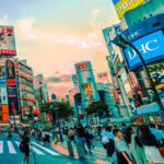 Tokyo: Private Tailored Tour with a Local Guide - Who Will Love This Tour?