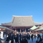 Tokyo Private Tour by Car with English speaking driver - The Practical Aspects: Transportation, Timing, and Pricing