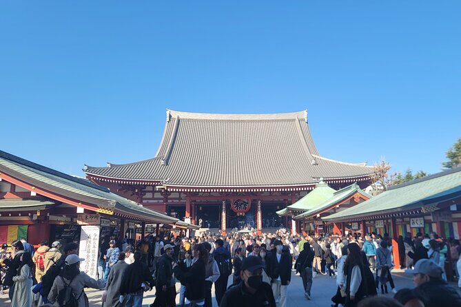 Tokyo Private Tour by Car with English speaking driver - The Practical Aspects: Transportation, Timing, and Pricing